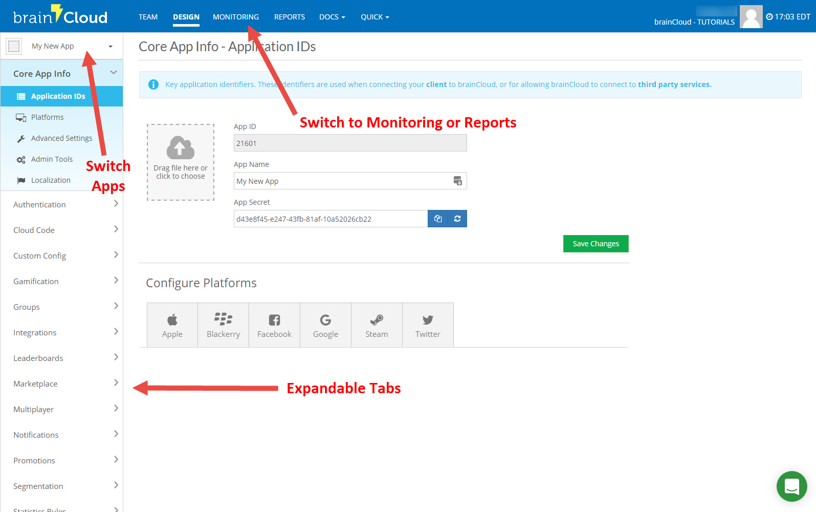 Introduction to the Portal | brainCloud Docs